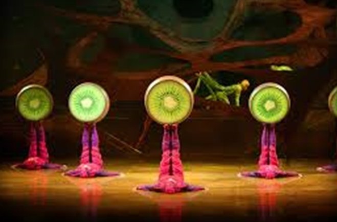 Delfi Chaves, Rial, Flor de la V, Agus Cherri y mÃ¡s en el Cirque du ...